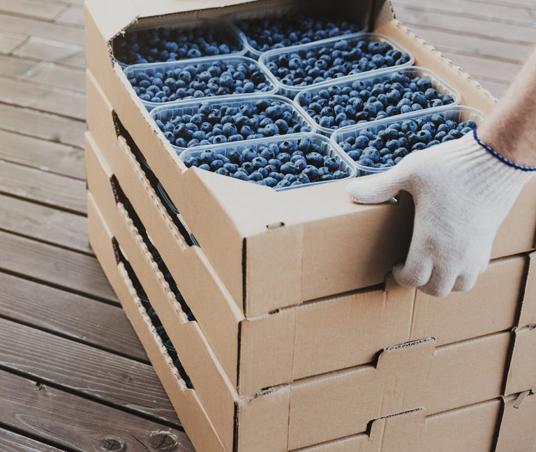 FRESH PRODUCE PACKAGING Archives - Arabian Packaging